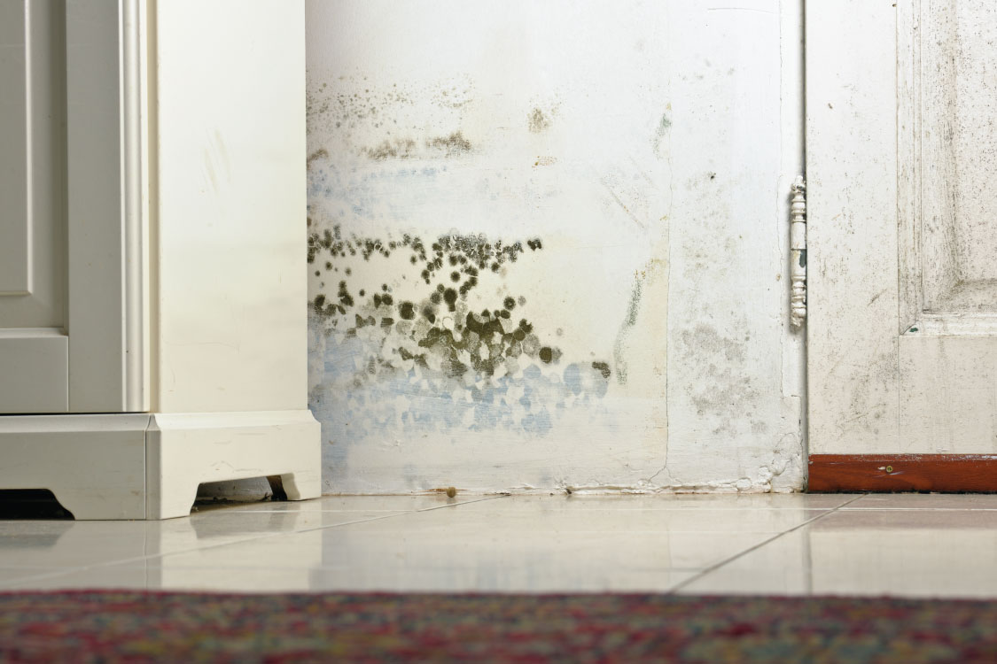 The Causes & Cures for Damp | UK Home Improvement