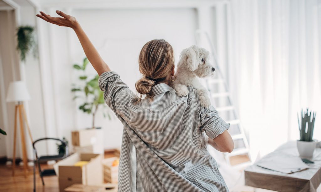 The Art of Creating A Beautiful Home: A Guide for New Homeowners - UK ...